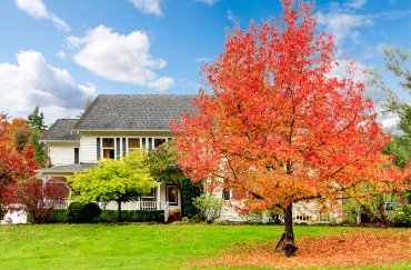 Mortgage Loans | First Financial Federal Credit Union